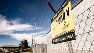 Electric Fencing Solutions for Ultimate Perimeter Security