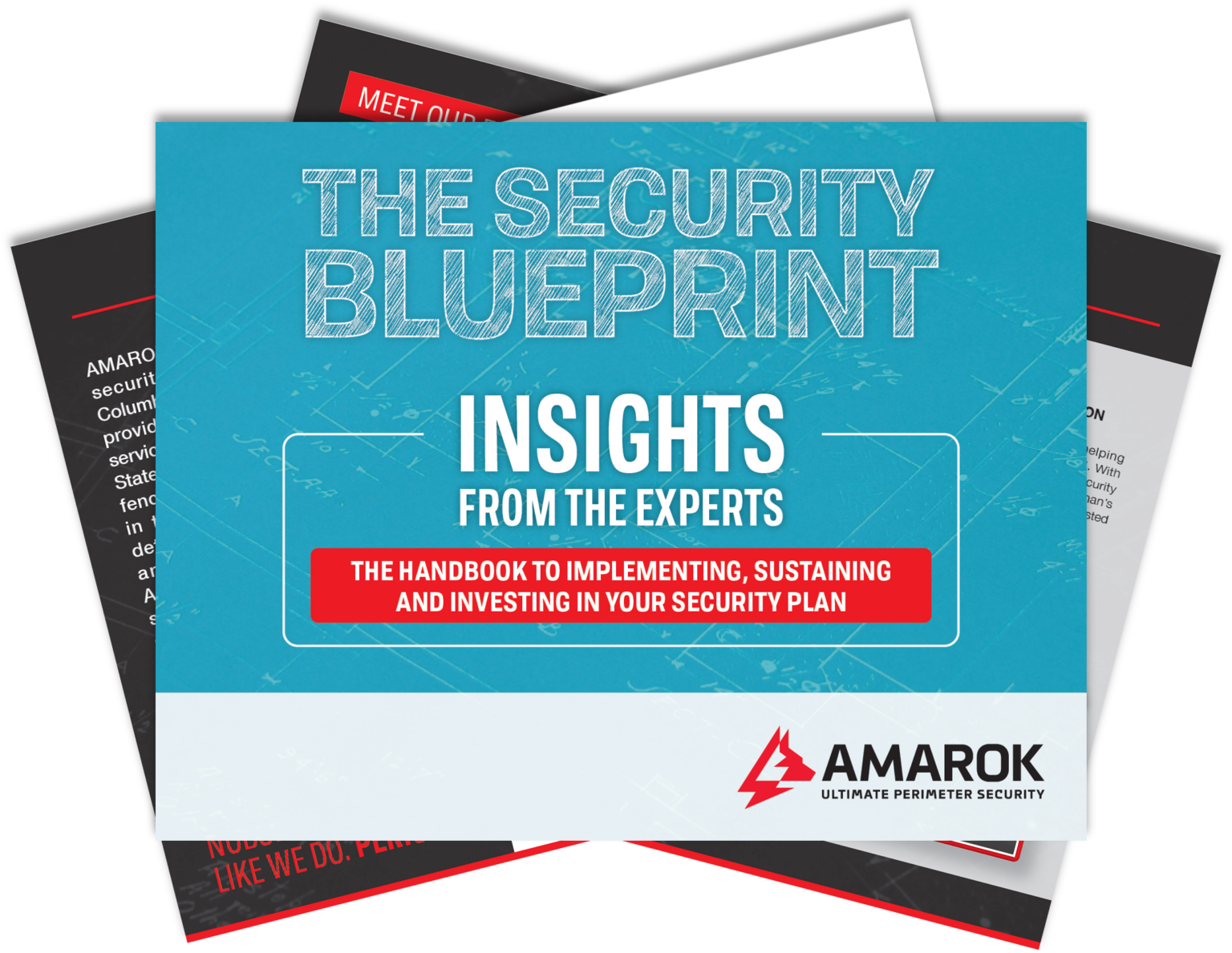 The Security Blueprint: Insights From the Experts | AMAROK