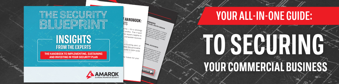 The Security Blueprint: Insights From the Experts | AMAROK