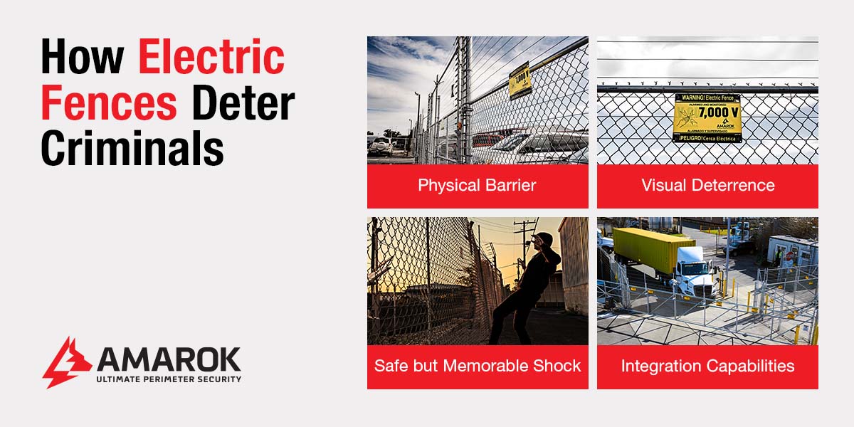 Why Criminals Avoid Electric Fences | AMAROK